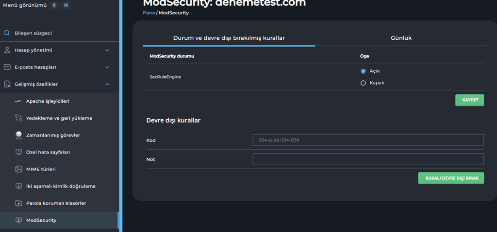 DirectAdmin Nedir? - BurtiNET