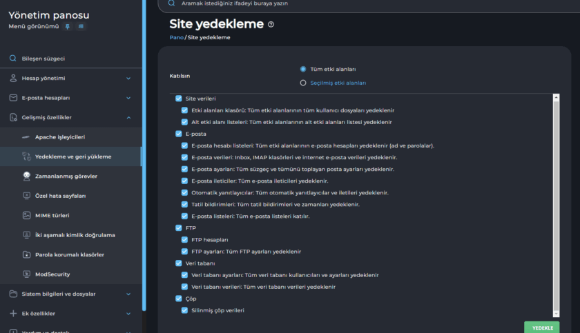 DirectAdmin Nedir? - BurtiNET