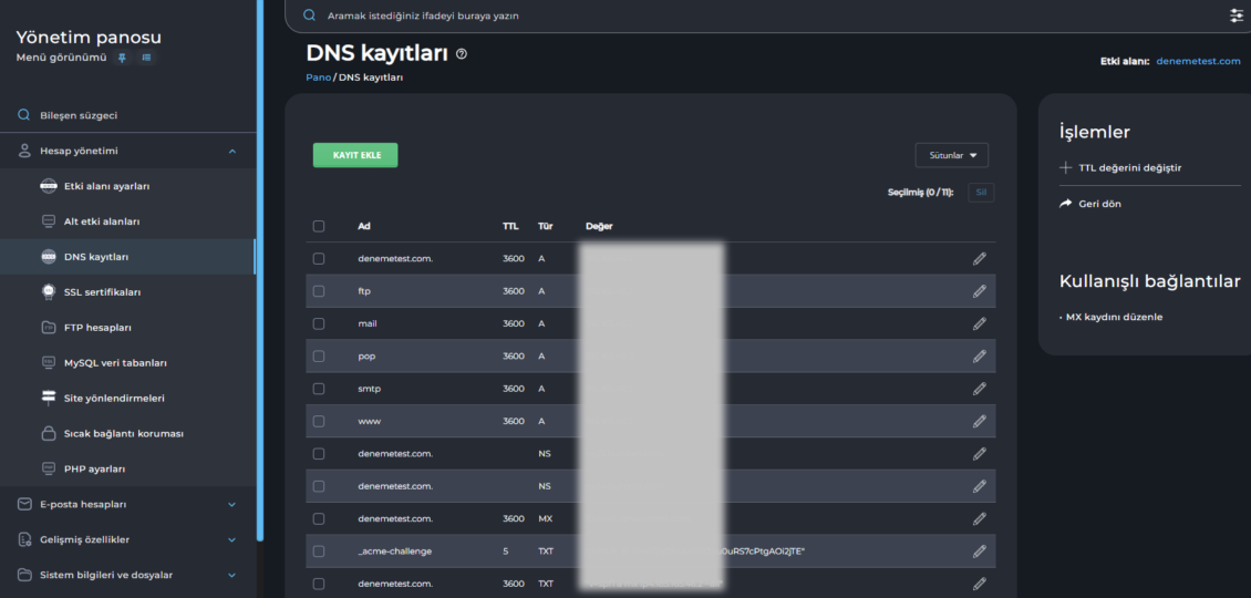DirectAdmin Nedir? - BurtiNET
